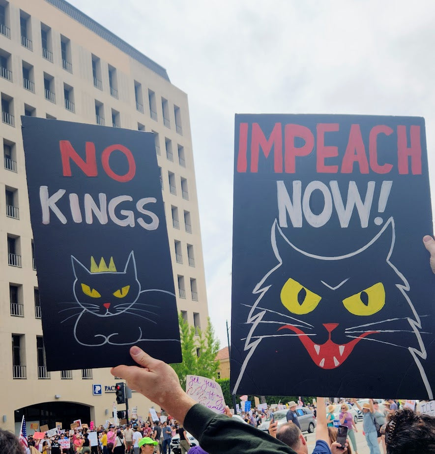 NO KINGS Protest Signs – Lili Chin Art Inc