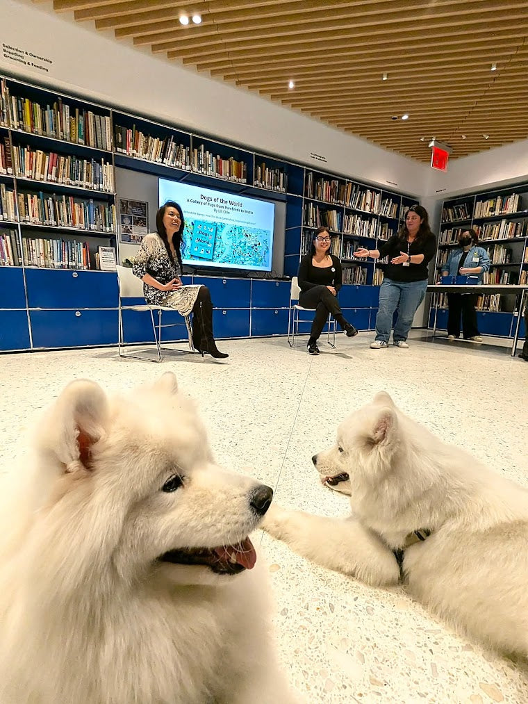 Dogs of the World at the Museum of the Dog! – Lili Chin Art Inc