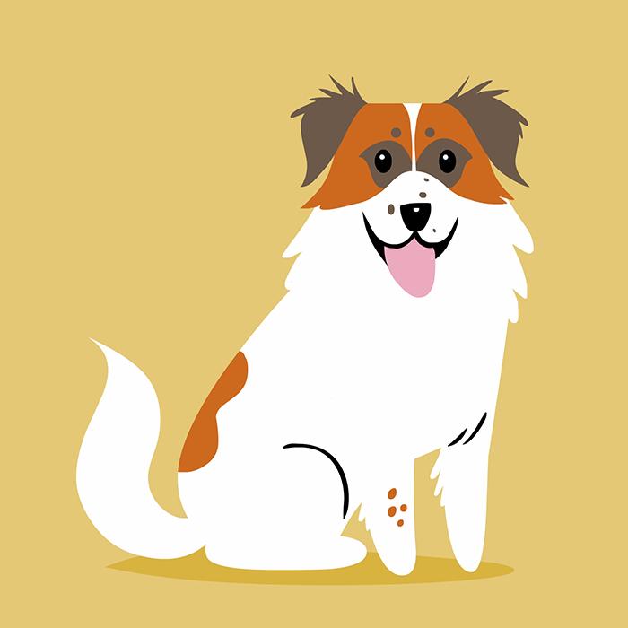 Dogs Collection | Lili Chin | Doggie Drawings – Lili Chin Art Inc