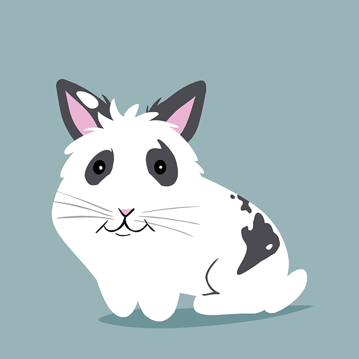 Bunnies Collection | Lili Chin | Doggie Drawings – Lili Chin Art Inc