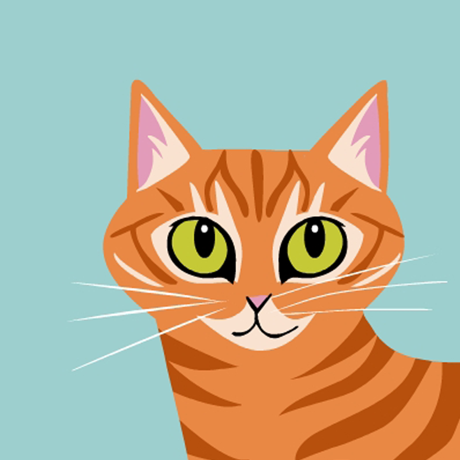 Shop Prints | Lili Chin | Doggie Drawings – Lili Chin Art Inc