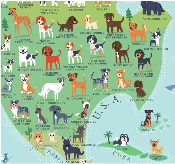 Shop for Dogs on a Map (Dogs of the World poster) | Lili Chin – Lili ...