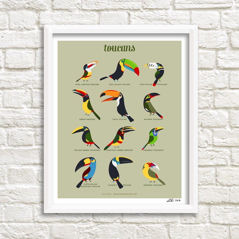 TOUCANS art print – Lili Chin Art Inc