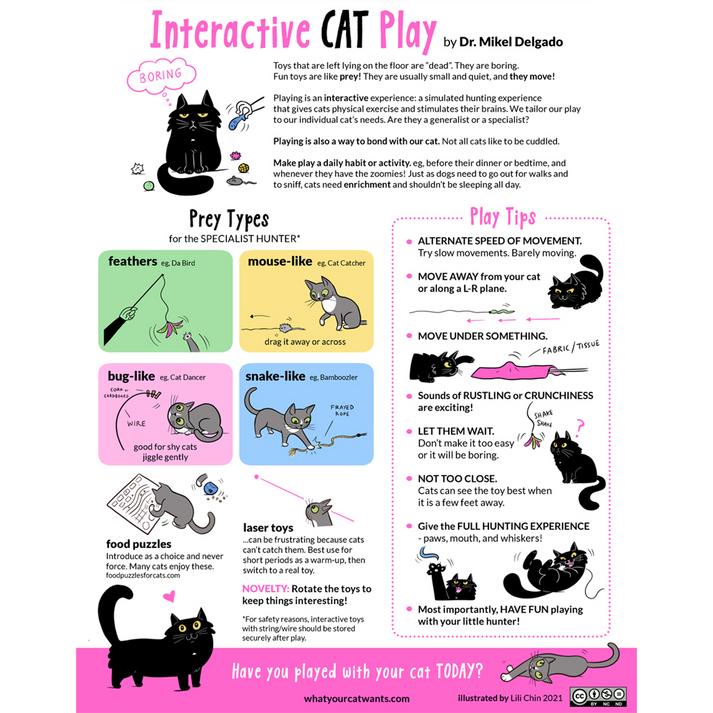 Interactive Cat Play – Lili Chin Art Inc