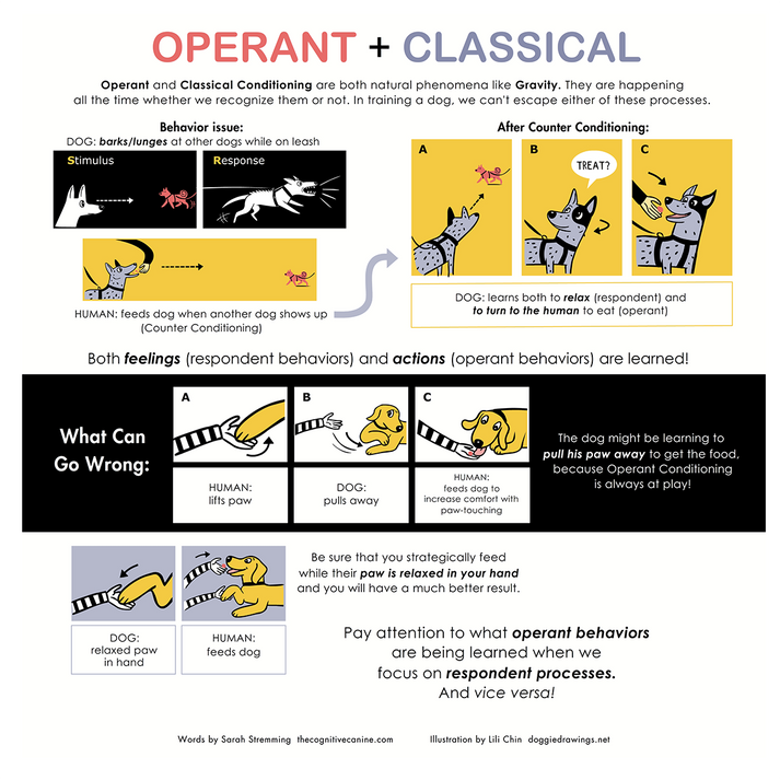 Operant and Classical Conditioning – Lili Chin Art Inc