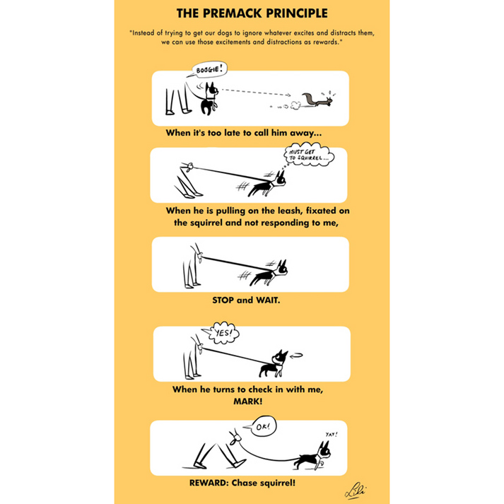 The Premack Principle – Lili Chin Art Inc