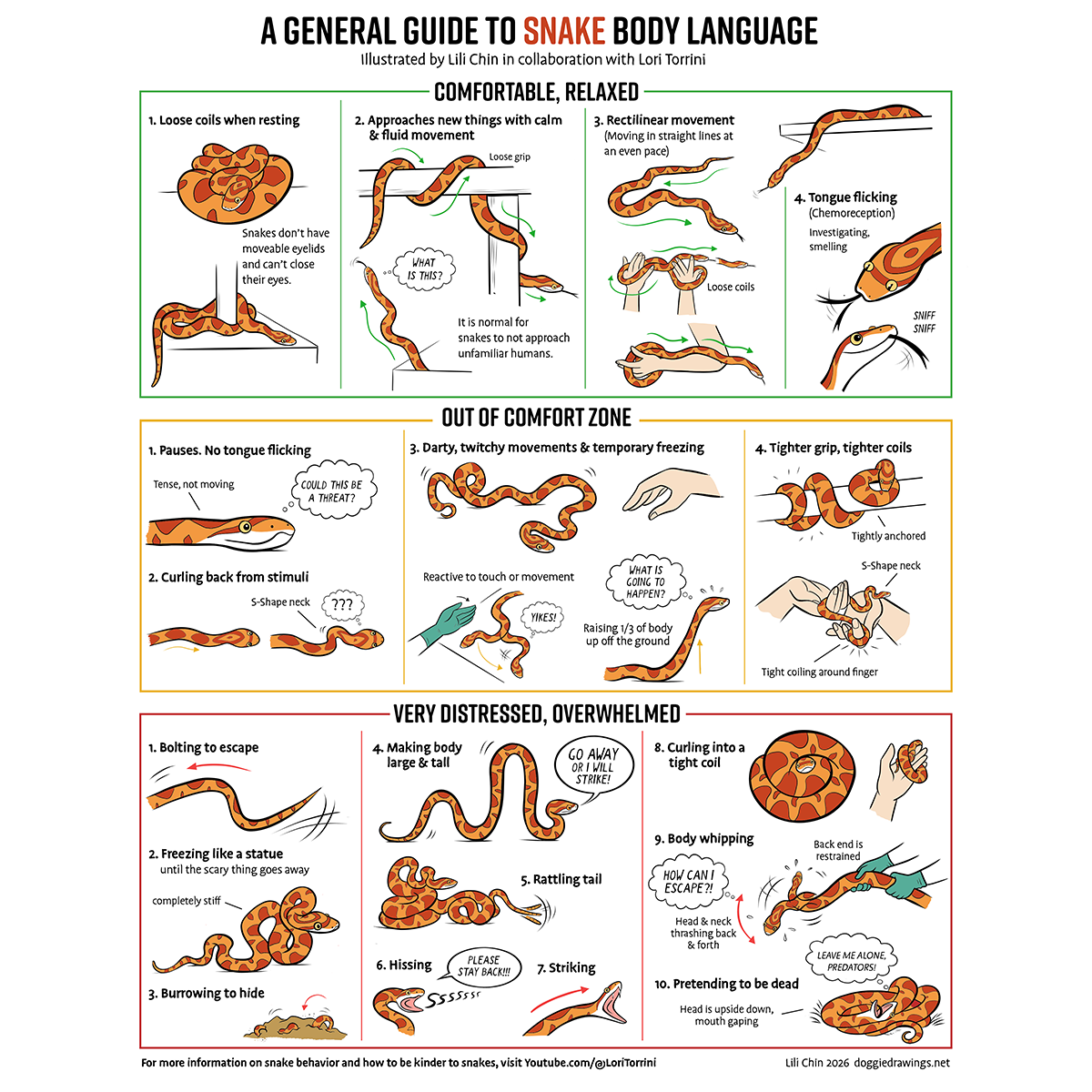 Snake Body Language – Lili Chin Art Inc